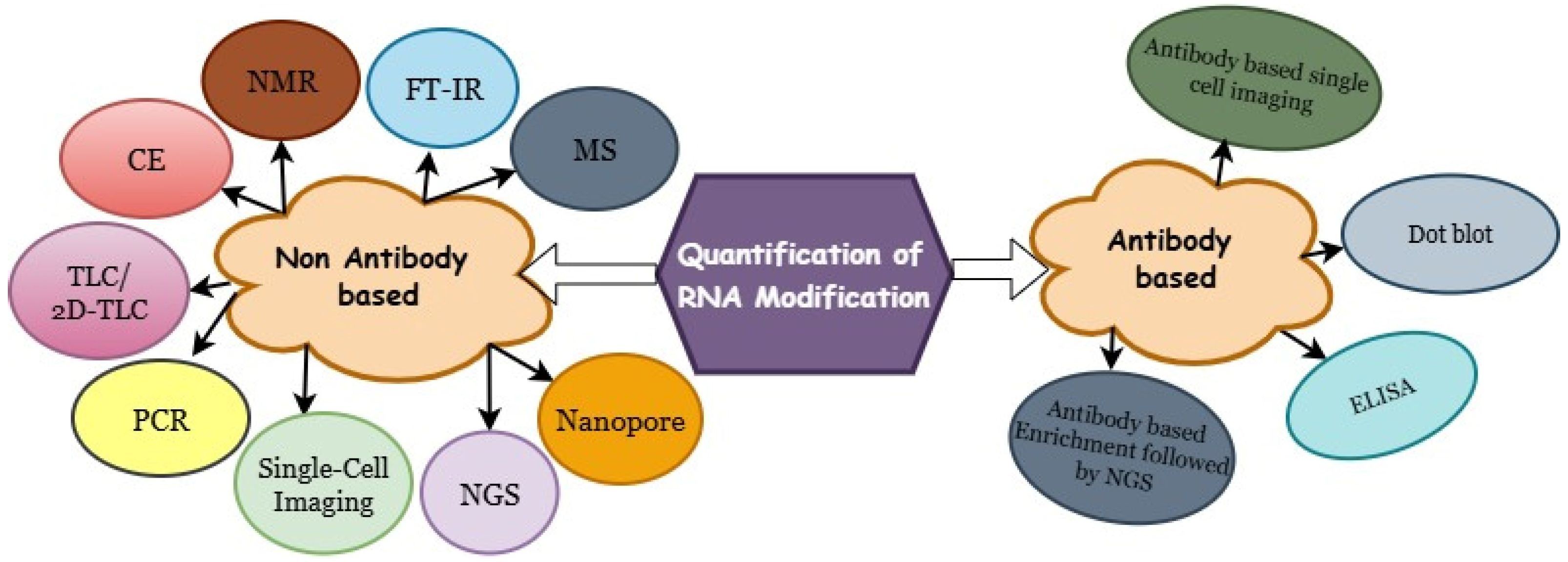 Advances in Quantitative Techniques for Mapping RNA Modifications