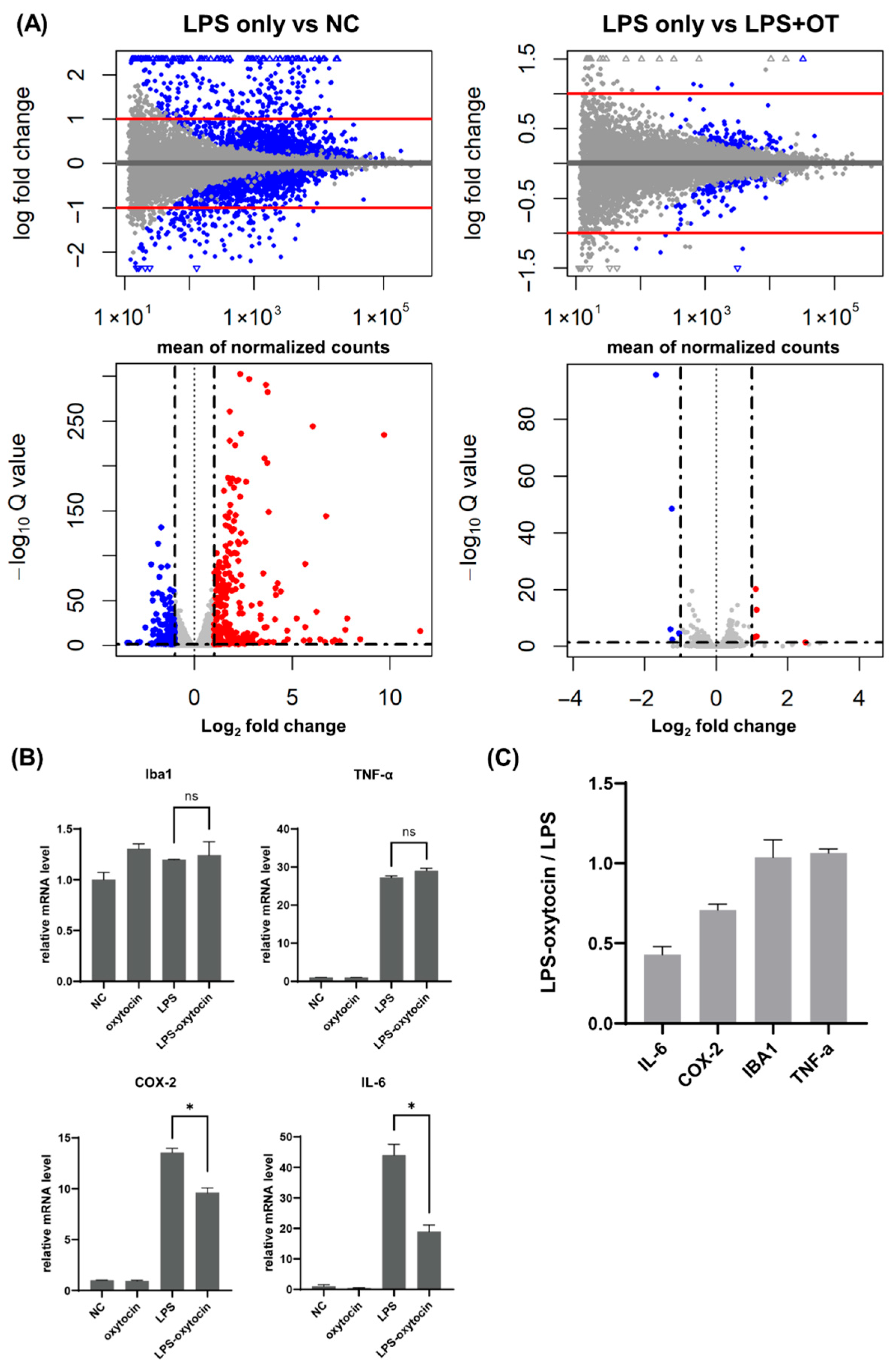 Oxytocin Modulates Microglial IL-17-Linked Inflammatory Pathways ...