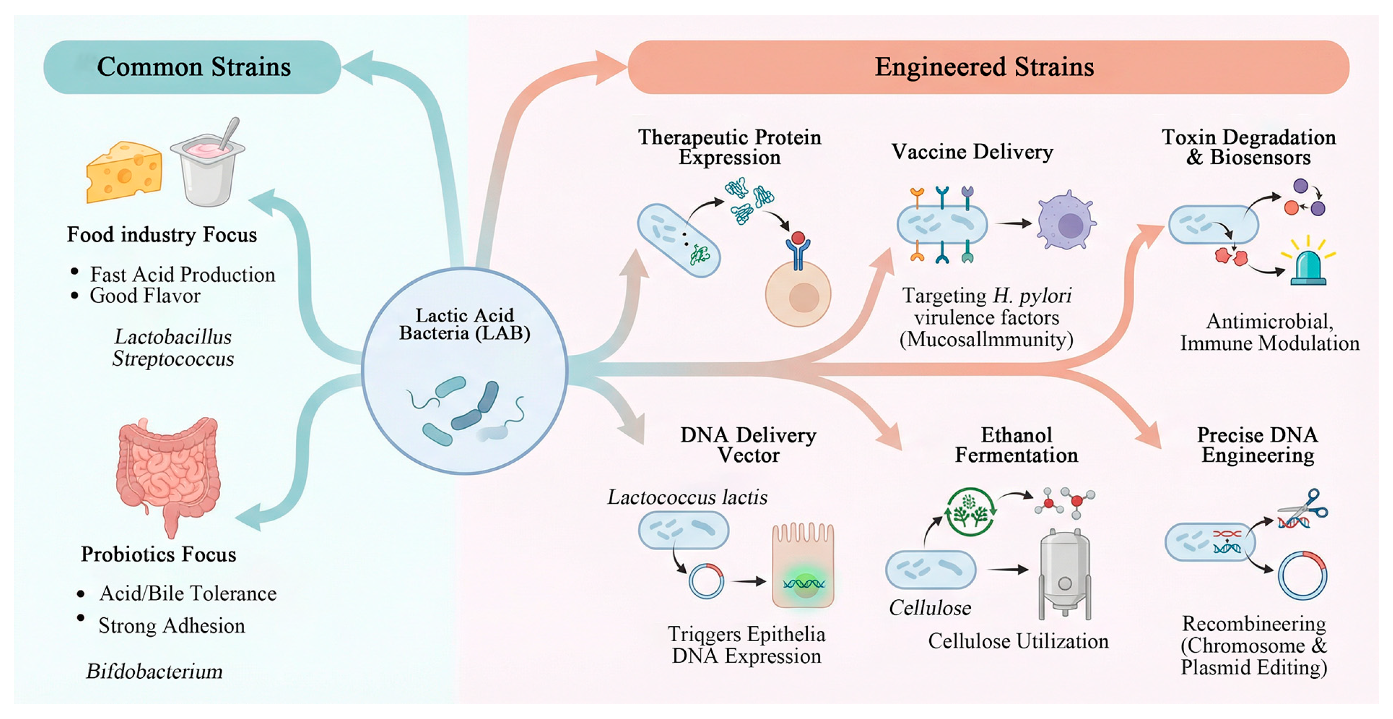 Review on Mining Robust Lactic Acid Bacteria for Next-Generation Silage ...