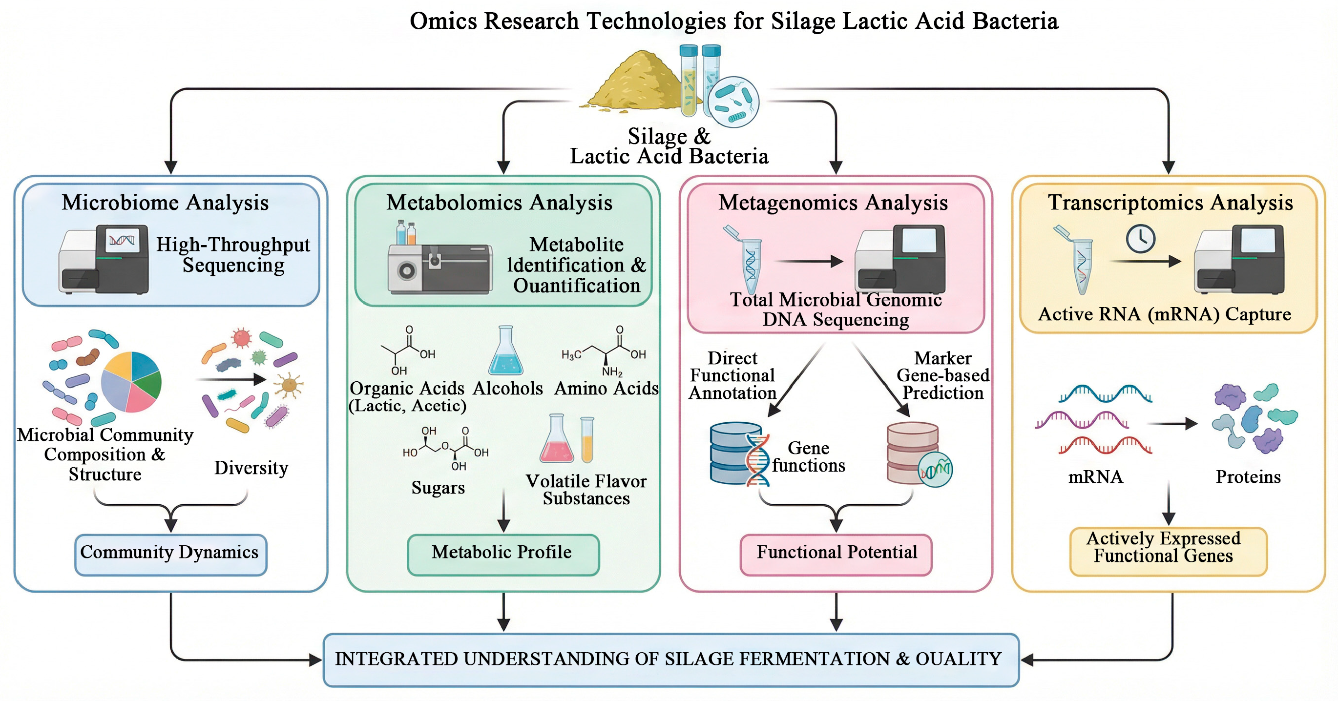 Review on Mining Robust Lactic Acid Bacteria for Next-Generation Silage ...