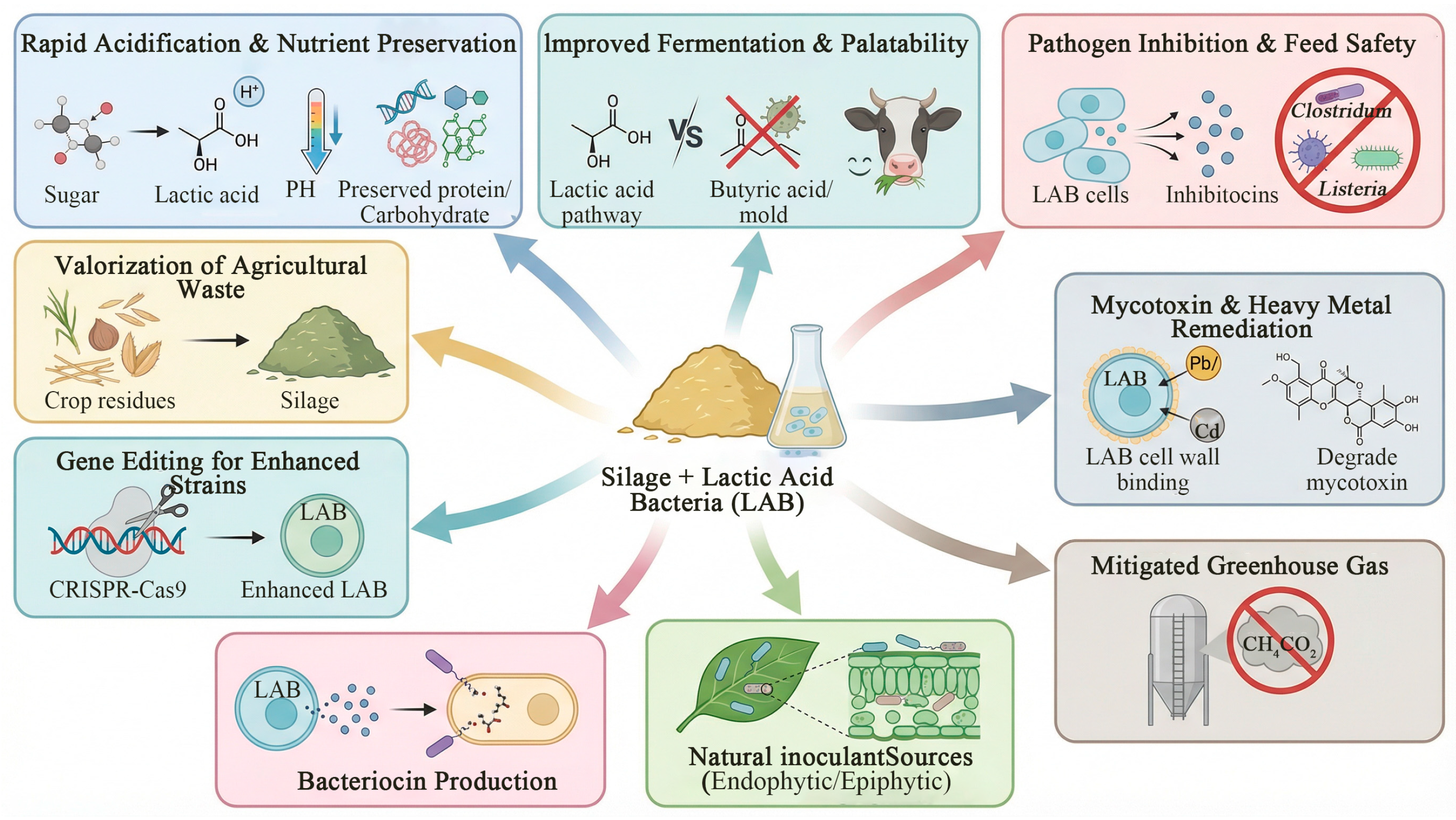 Review on Mining Robust Lactic Acid Bacteria for Next-Generation Silage ...