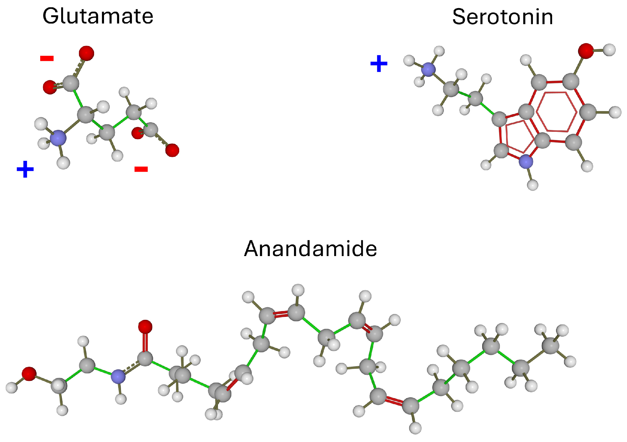 Serotonergic Signaling Rewired: A Lipid Raft-Controlled Model of ...