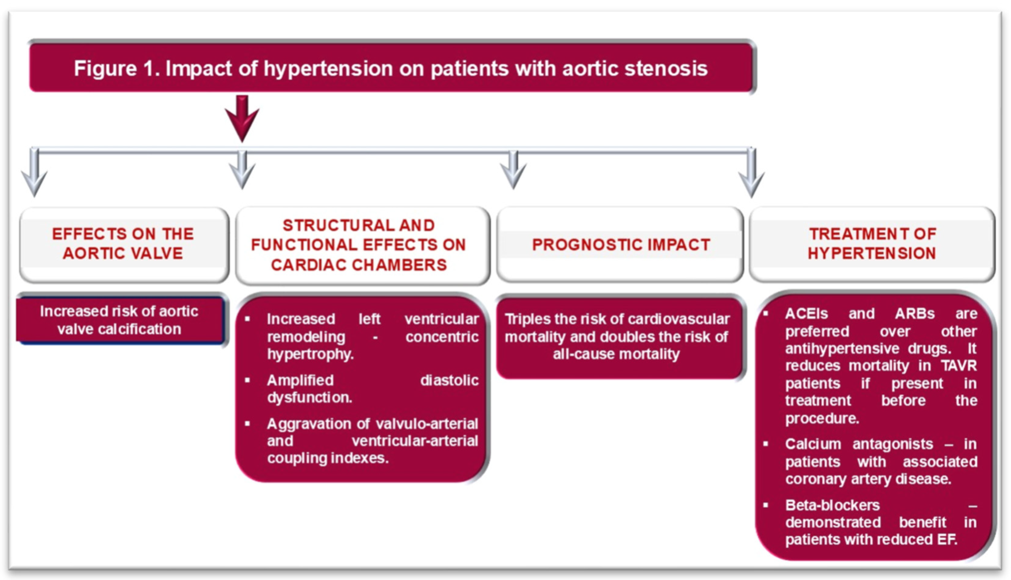 Hypertension and Valvular Heart Disease: An Overview of a Complex and ...