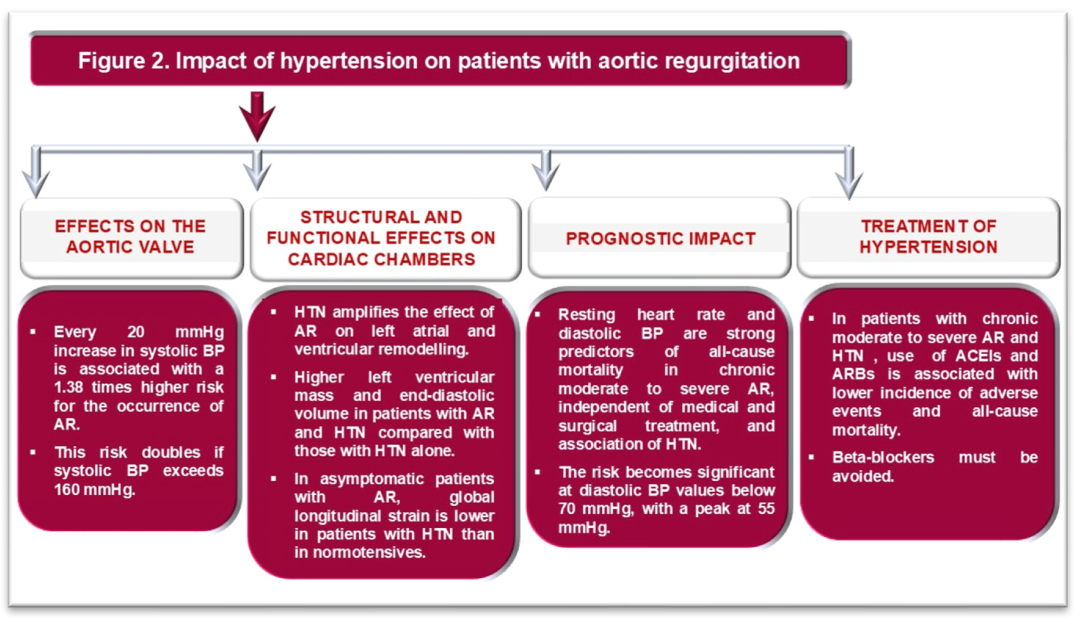 Hypertension and Valvular Heart Disease: An Overview of a Complex and ...
