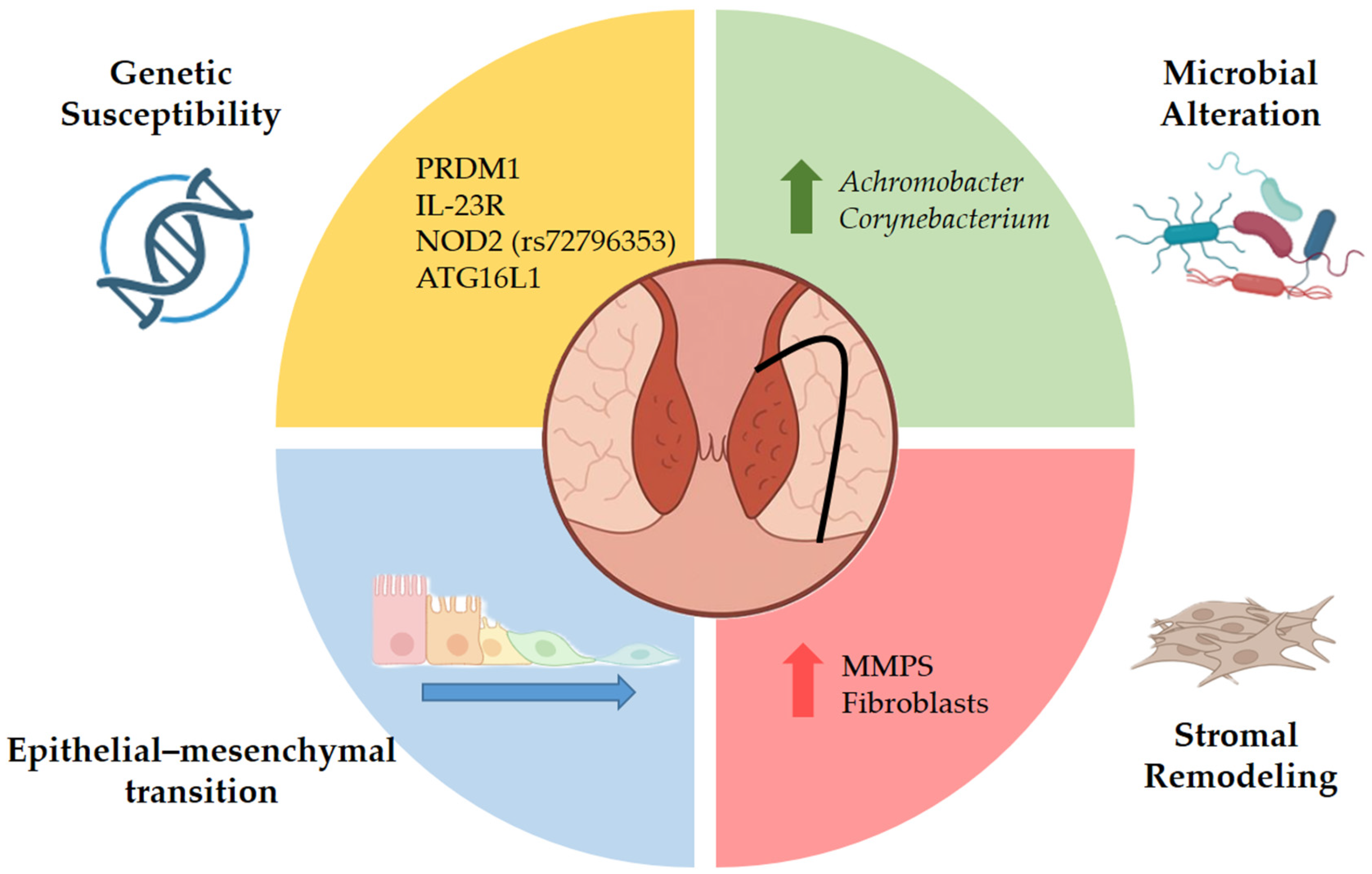 Perianal Crohn’s Disease in Inflammatory Bowel Disease: Diagnosis ...