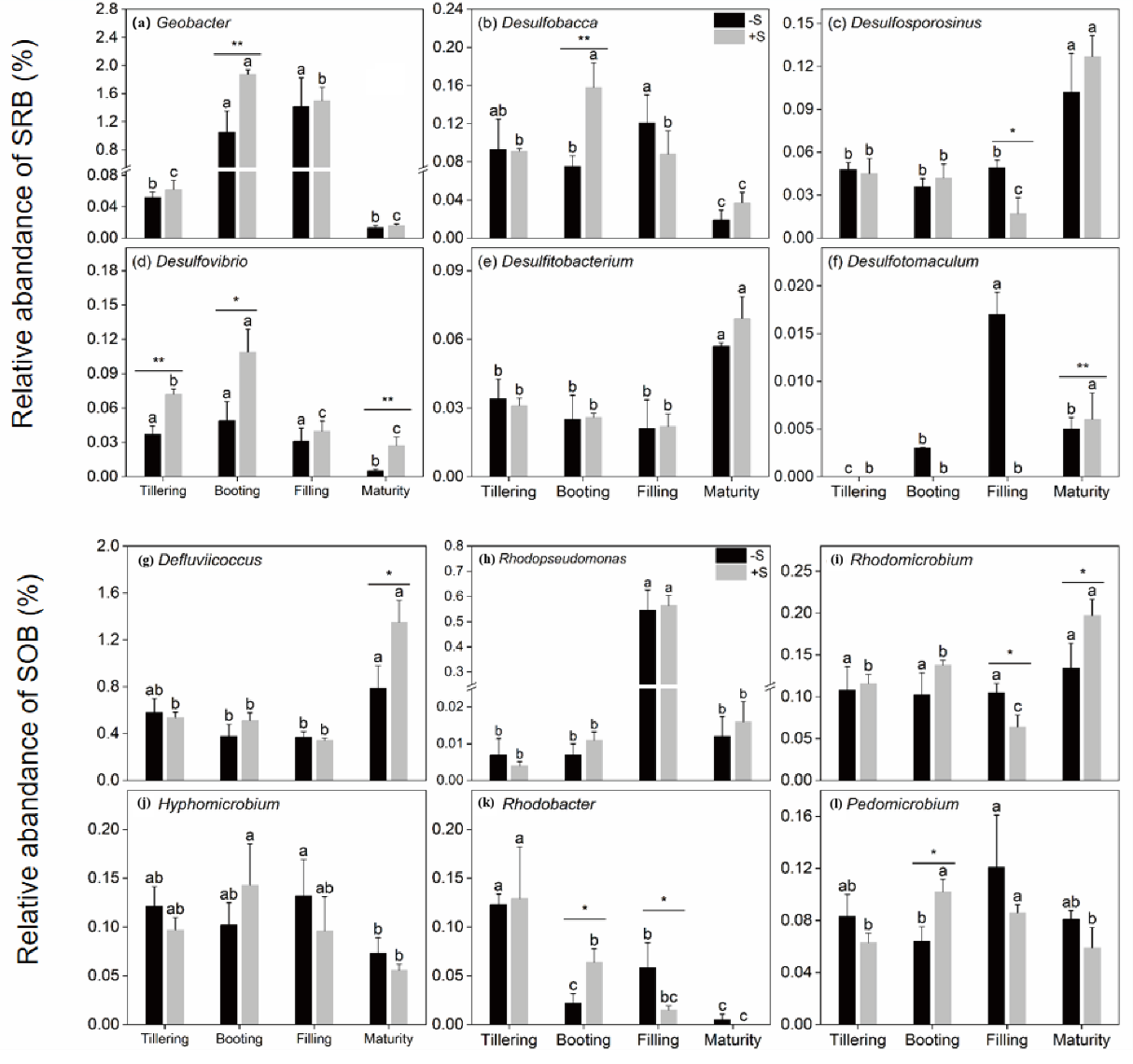 The Ratio of S2−/SO42− Induces the Transference of Cadmium in ...