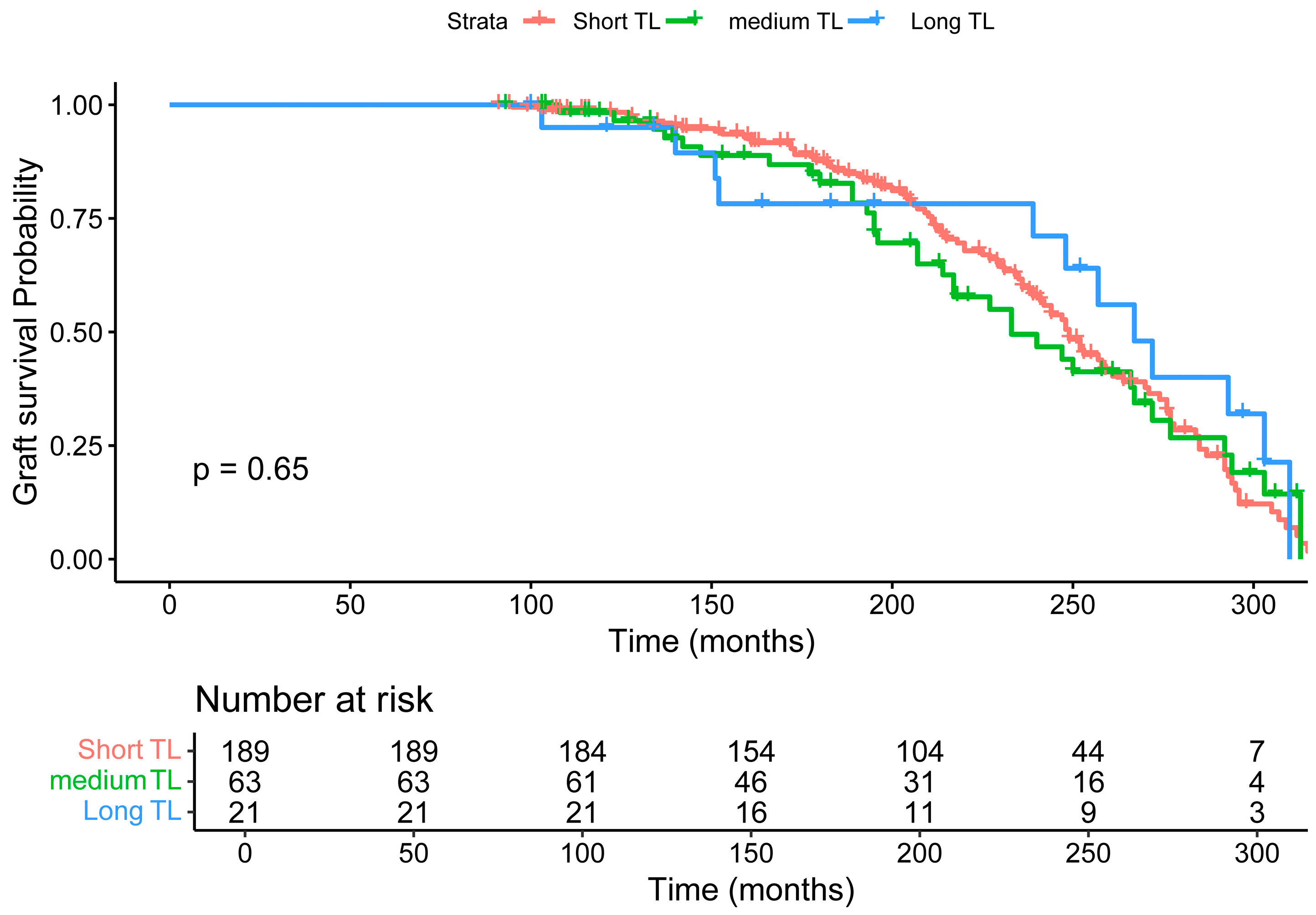 Exploring Telomere Association in Donor–Recipient Pairs: Implications ...