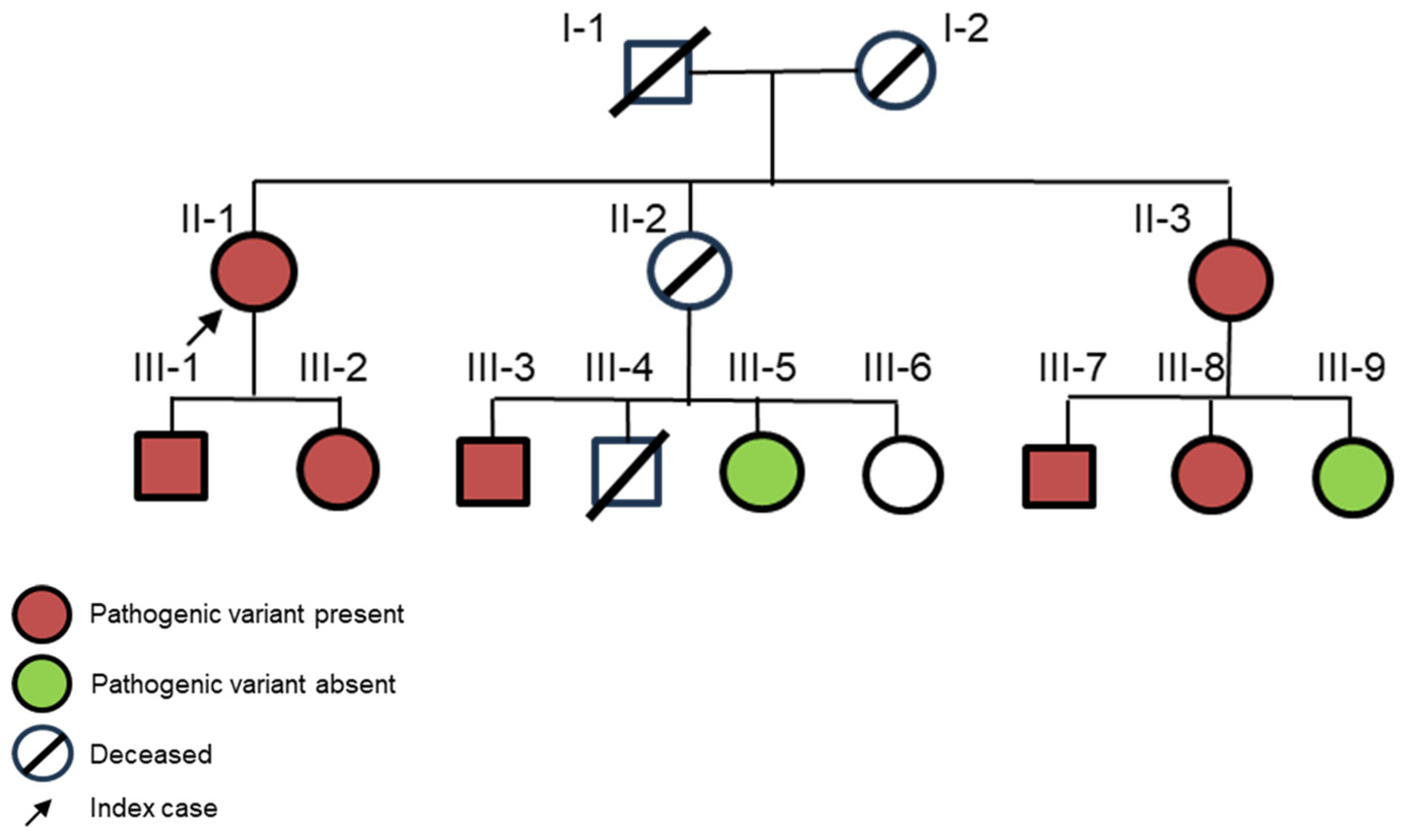 Phenotypic Variability of Kidney Involvement in Fabry Disease—Lessons ...