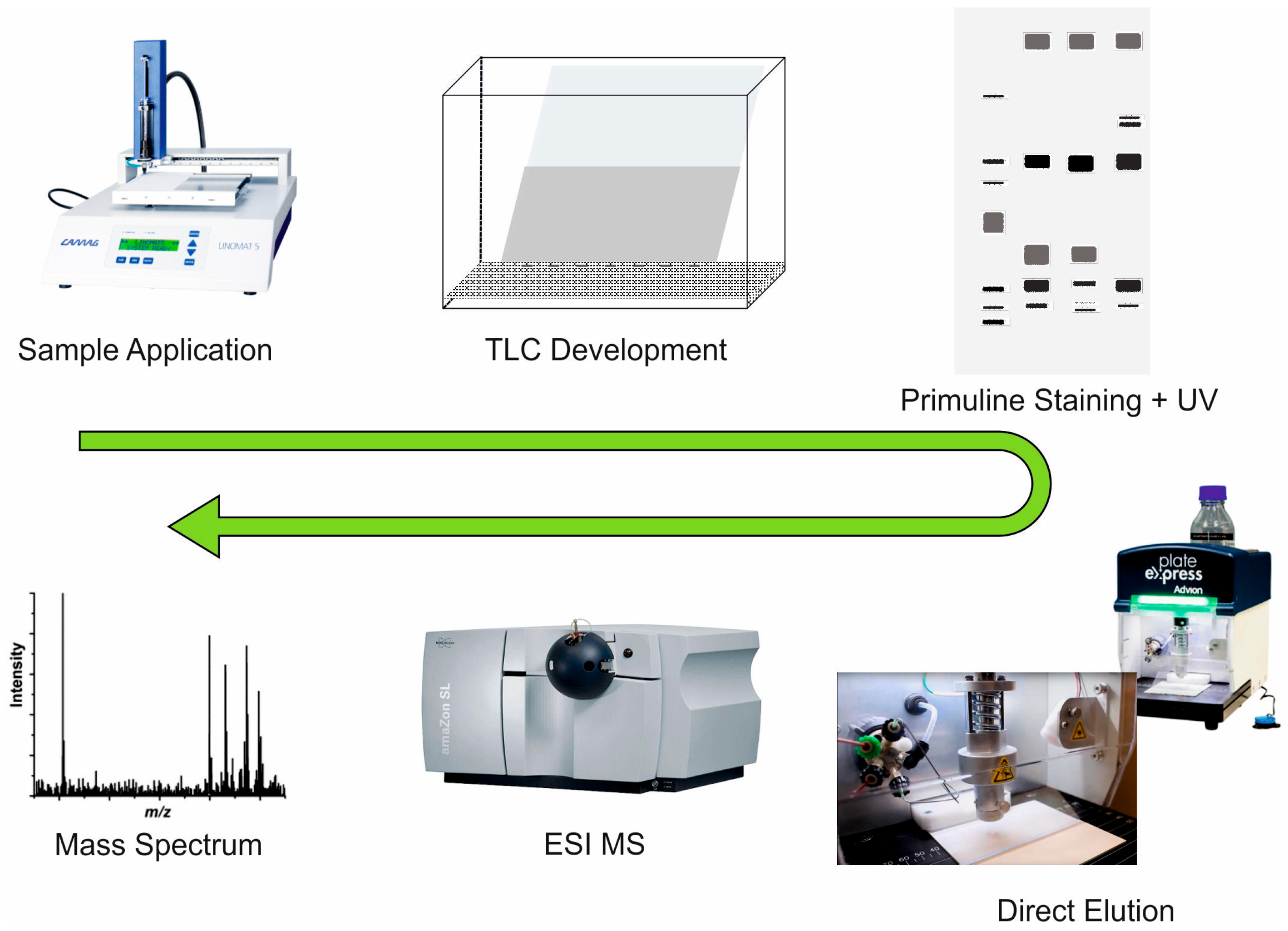 Lipid Analysis by Thin-Layer Chromatography—Detection, Staining and ...