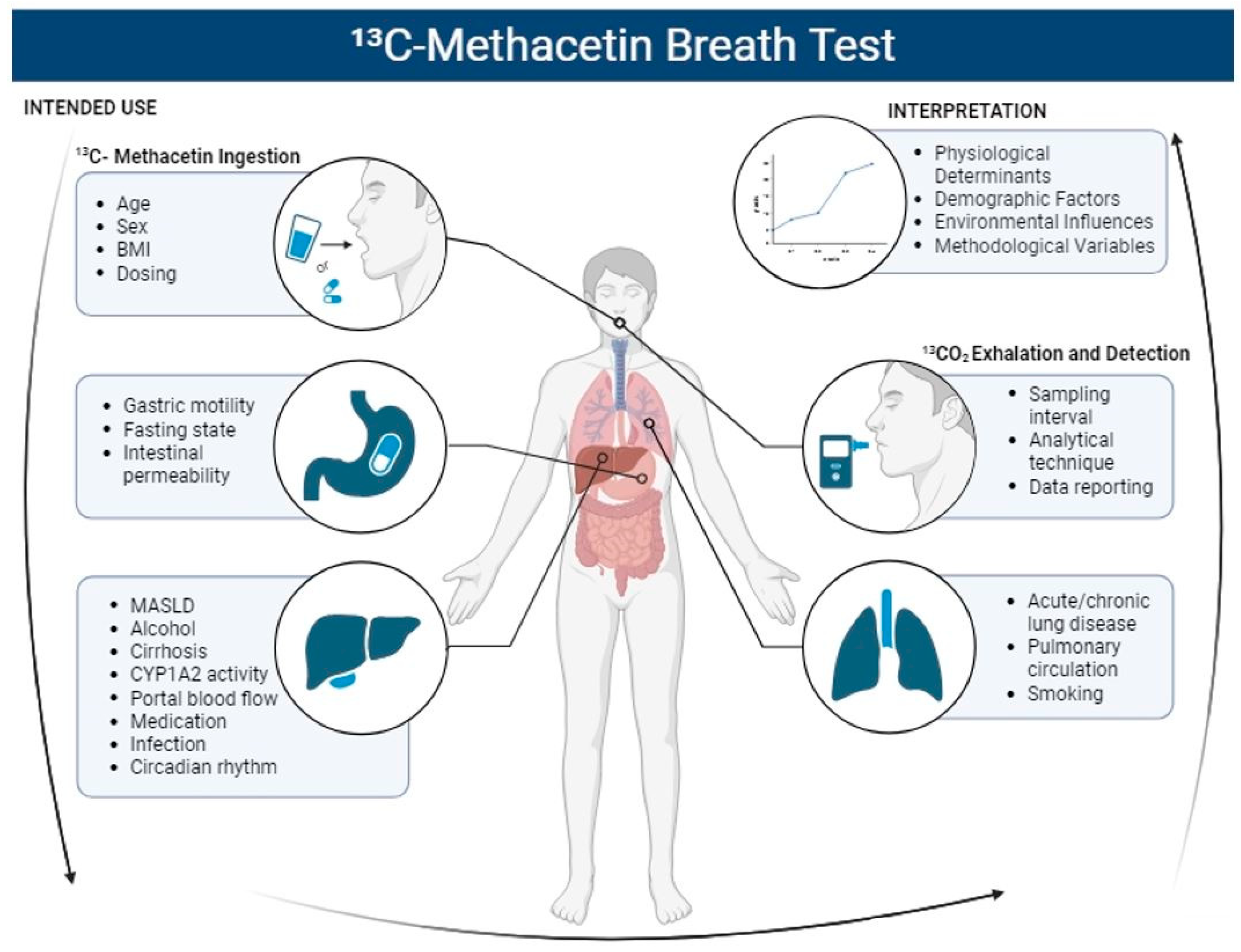 Standardizing the 13C-Methacetin Breath Test: A Call for Clinical ...