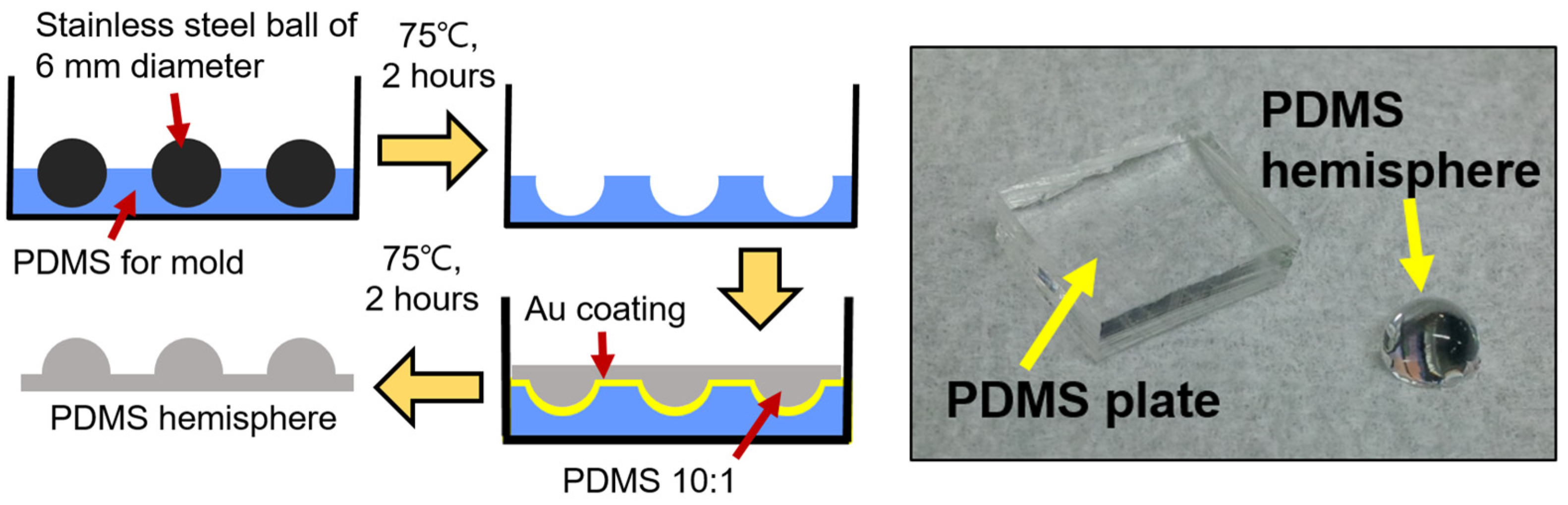 Tribological Properties of Polydimethylsiloxane Grafted with Poly(Ethylene Glycol) Methyl Ether ...