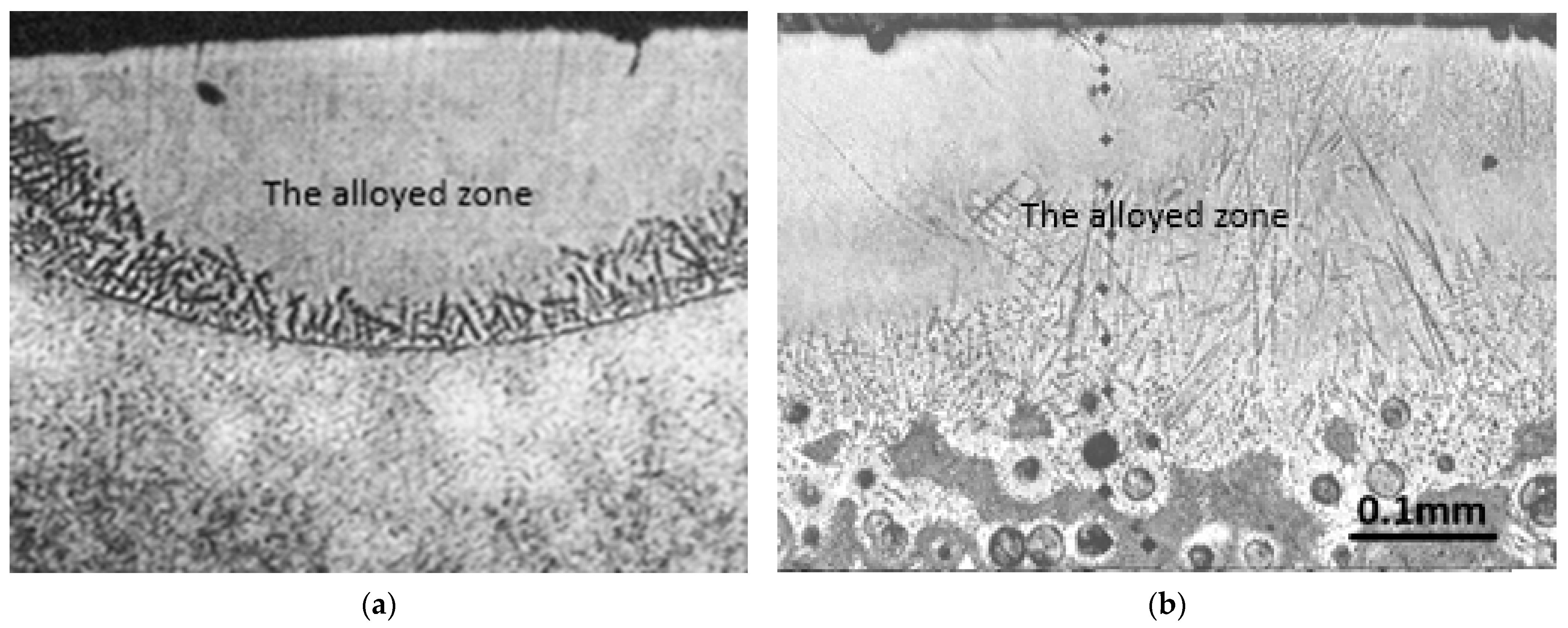 The Influence of Laser Alloying with Boron on the Condition and ...