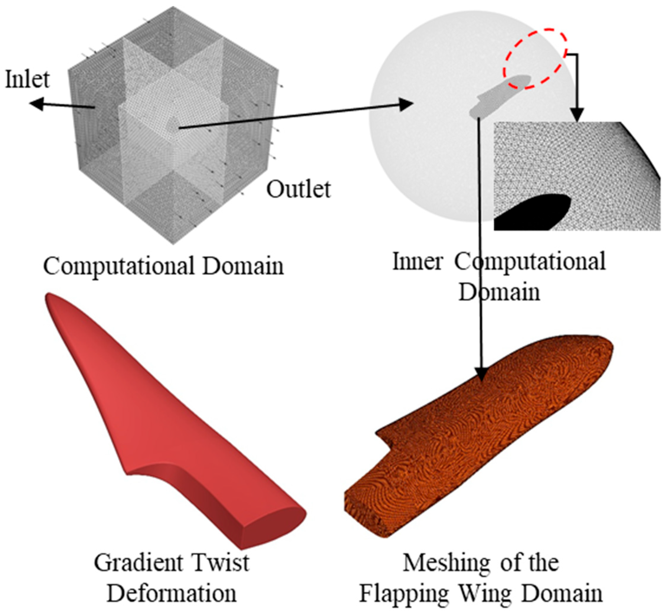 Numerical and Experimental Study of a Bio-Inspired Flapping Wing with ...