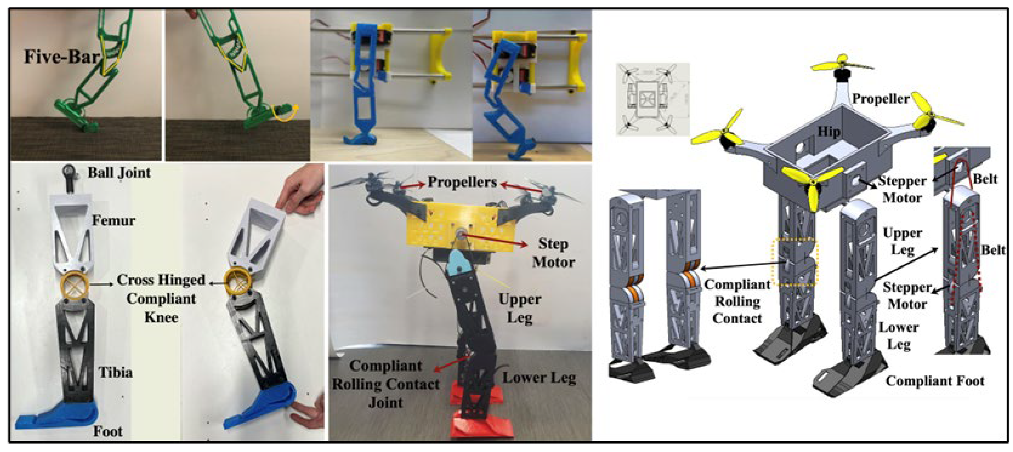 Reconfigurable Compliant Joints (RCJs) for Functional Biomimicry in ...