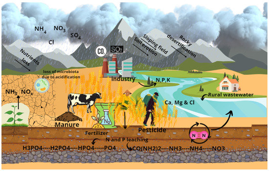 Microalgae-Based Biotechnology as Alternative Biofertilizers for Soil ...