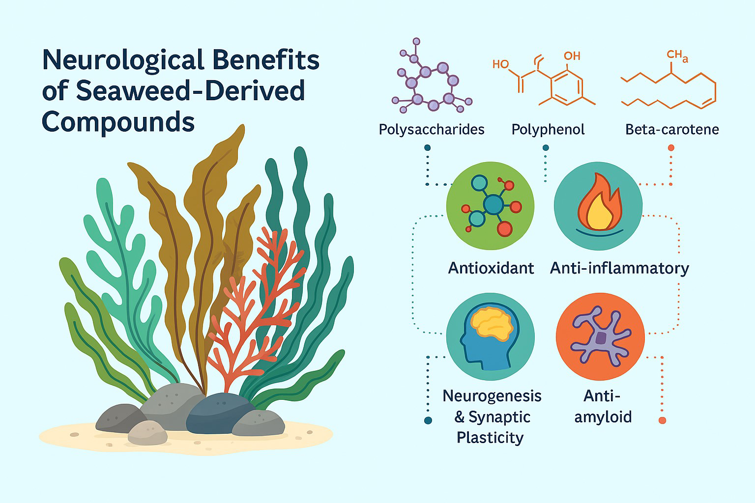 Neurological Benefits of Seaweed-Derived Compounds