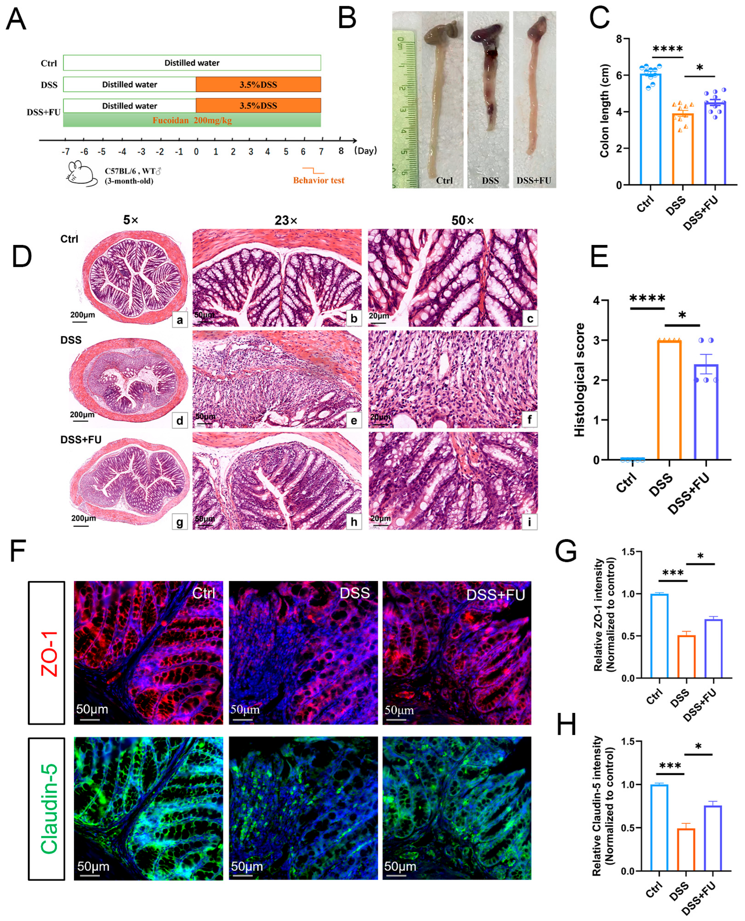 Fucoidan Extracted from Fucus vesiculosus Ameliorates Colitis ...