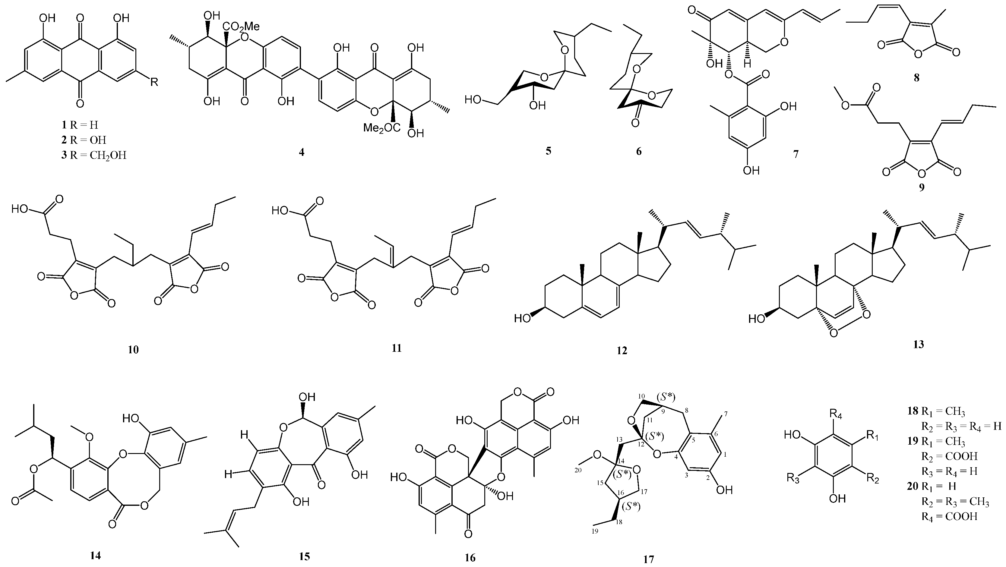 A Novel Bis-Spiroketal Scaffold and Other Secondary Metabolites from ...