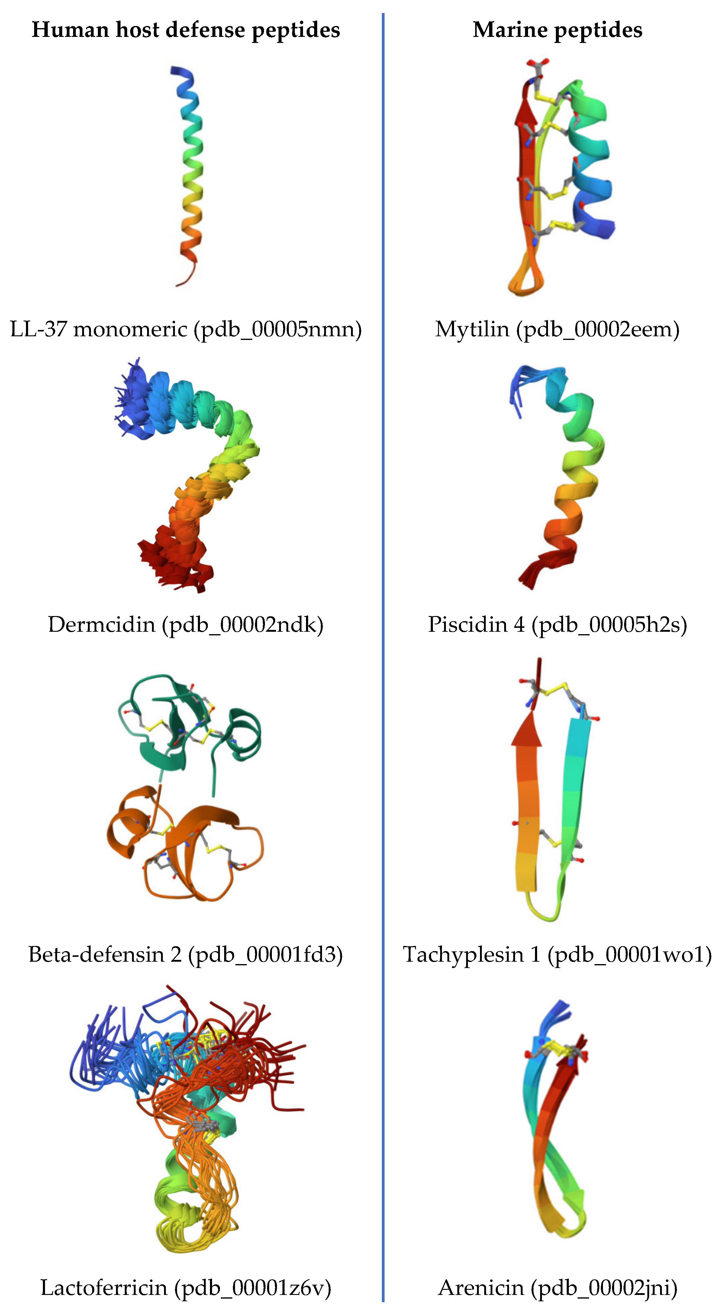 Human and Marine Host Defense Peptides for Healthy Skin