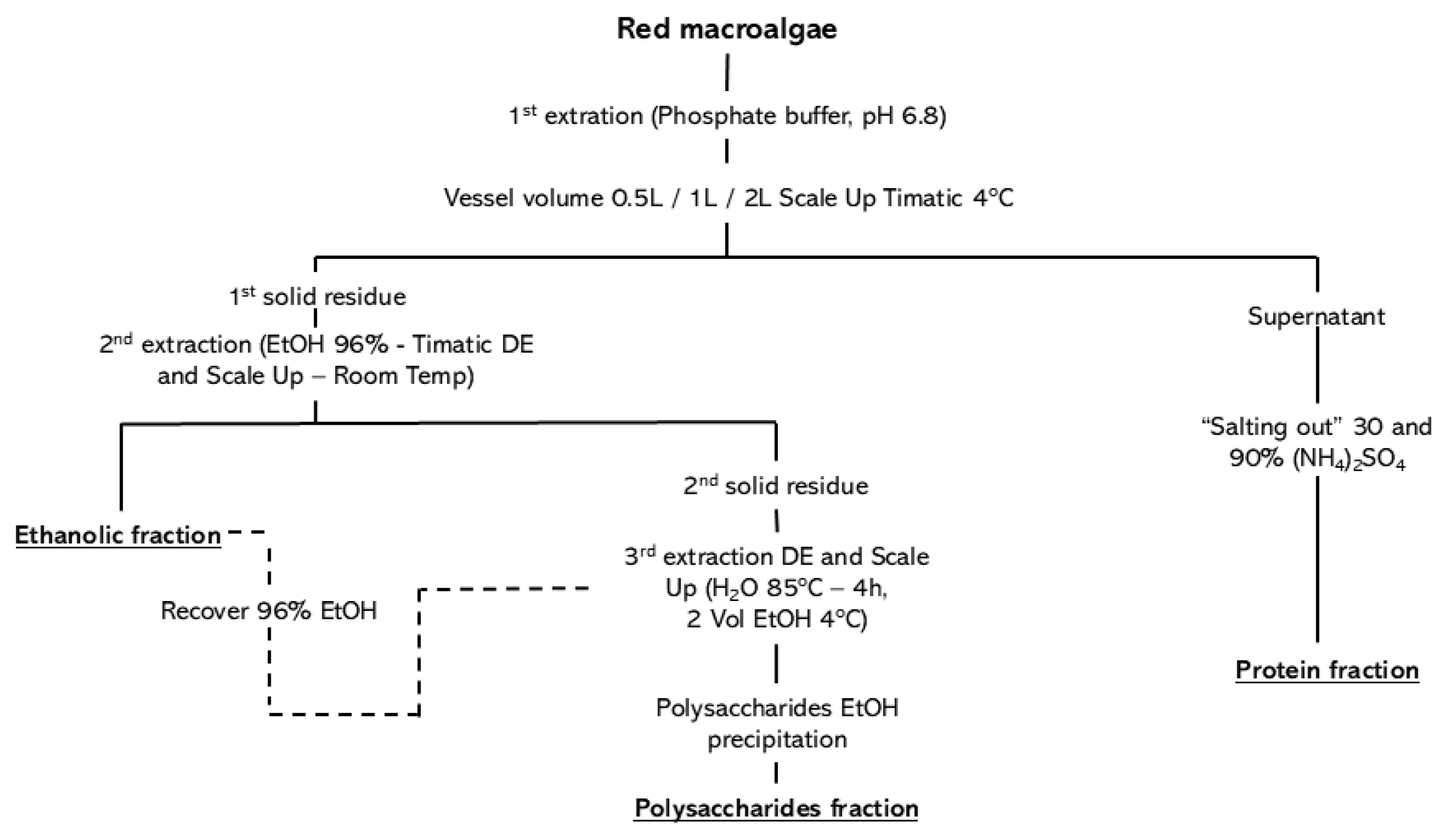 Red Macroalgae as Sources of Antioxidant and Multifunctional ...