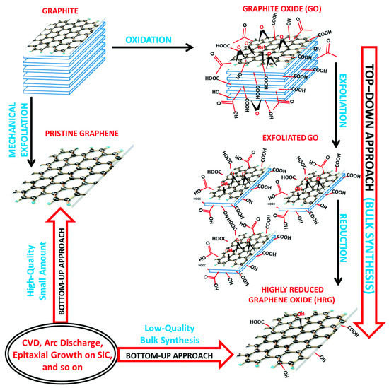 Osteogenic Potential of Graphene in Bone Tissue Engineering Scaffolds