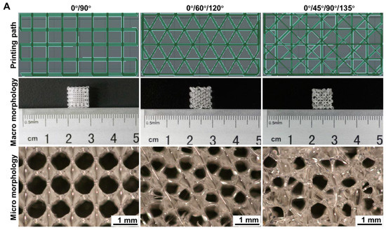 Characterization and Preliminary Biological Evaluation of 3D-Printed ...