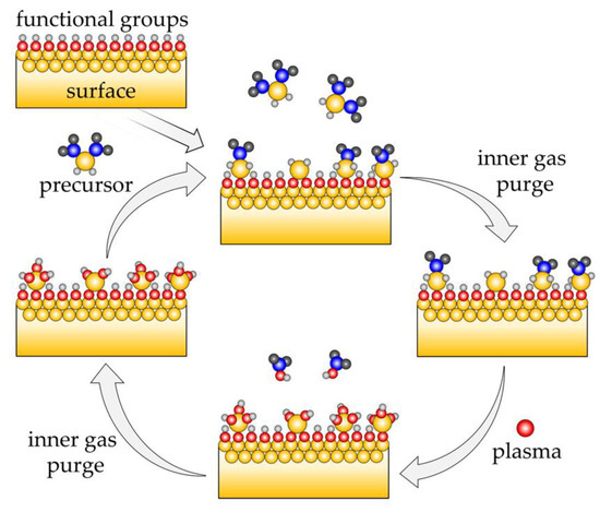 Atomistic Simulations of Plasma-Enhanced Atomic Layer Deposition