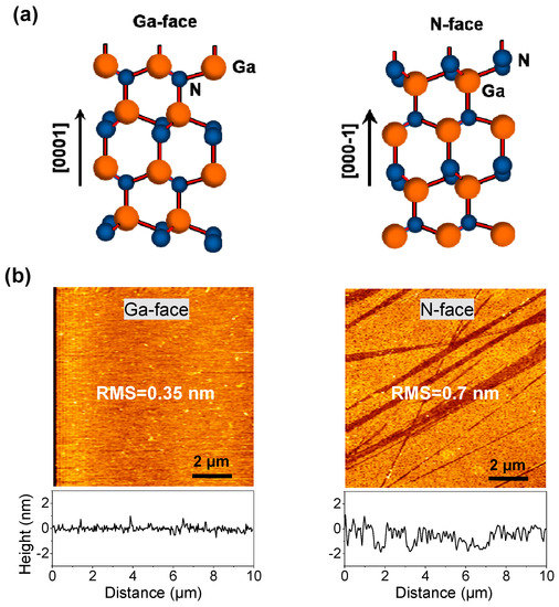 Nanotribological Properties of Ga- and N-Faced Bulk Gallium Nitride ...