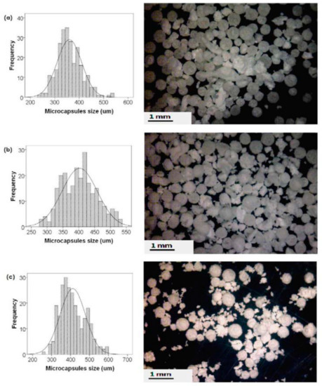 Self-Repairing Composites for Corrosion Protection: A Review on Recent ...