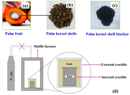 Facile Fabrication of Biochar from Palm Kernel Shell Waste and Its ...