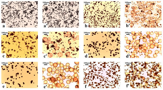 Expansion Properties and Diffusion of Blowing Agent for Vinylidene ...