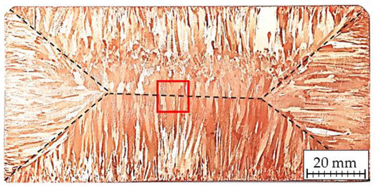 Investigation of the Dendritic Structure Influence on the Electrical ...