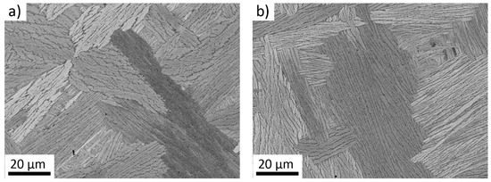 Novel α + β Zr Alloys with Enhanced Strength