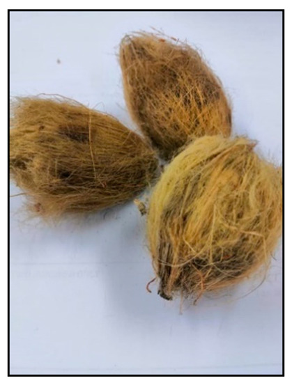 Sustainable Production of Arecanut Husk Ash as Potential Silica ...