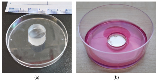 A Method for the Evaluation of Early Osseointegration of Implant ...