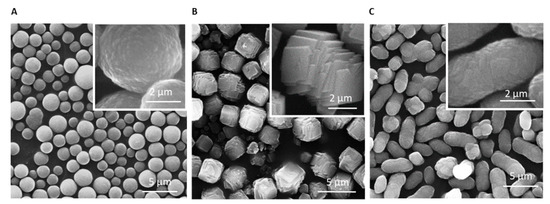Controlling Calcium Carbonate Particle Morphology, Size, and Molecular ...
