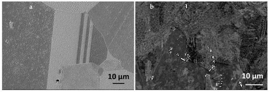 The Morphology and Microstructure of Oxide Scale Grown on Austenitic ...