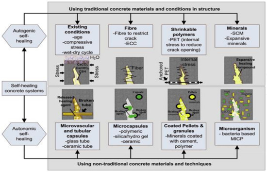 Self-Healing Concrete as a Prospective Construction Material: A Review