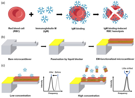 Hemolysis-Inspired, Highly Sensitive, Label-Free IgM Detection Using ...