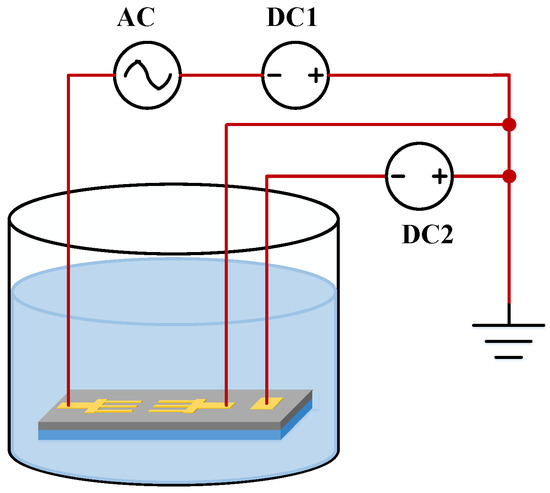 Materials | Free Full-Text | AC/DC Electric-Field-Assisted Growth of ...