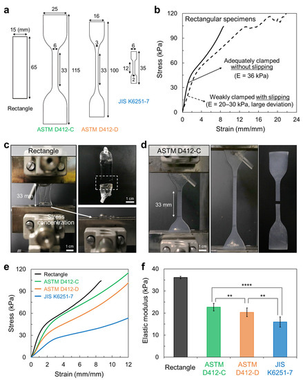 Specimen Geometry Effect on Experimental Tensile Mechanical Properties ...