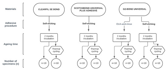 Materials | Free Full-Text | Comparison of Different Universal Adhesive ...