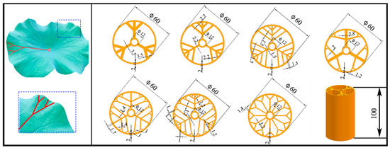 The Design of a Biomimetic Hierarchical Thin-Walled Structure Inspired ...