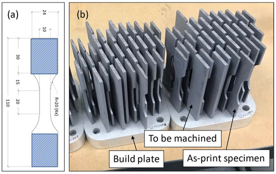 Corrosion-Fatigue Performance of 3D-Printed (L-PBF) AlSi10Mg