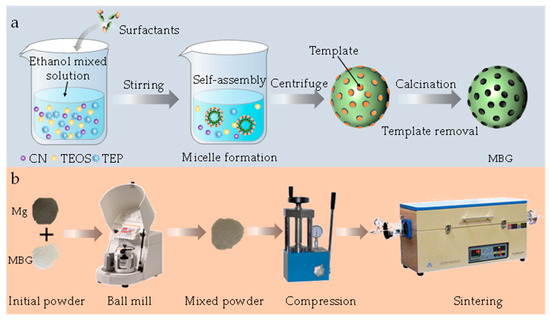 Biodegradation and Cell Behavior of a Mg-Based Composite with ...