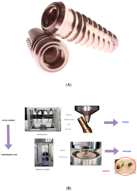 In Vitro Analysis of the Removability of Fractured Prosthetic Screws ...