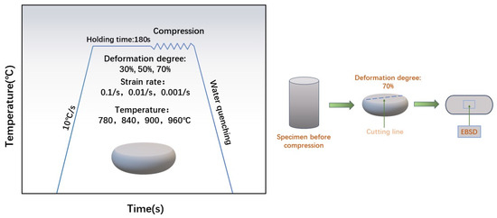 Dynamic Recrystallization Constitutive Model and Texture Evolution of ...