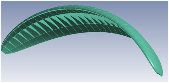 Material, Aerodynamic, and Operational Aspects of Single-Skin Paraglider