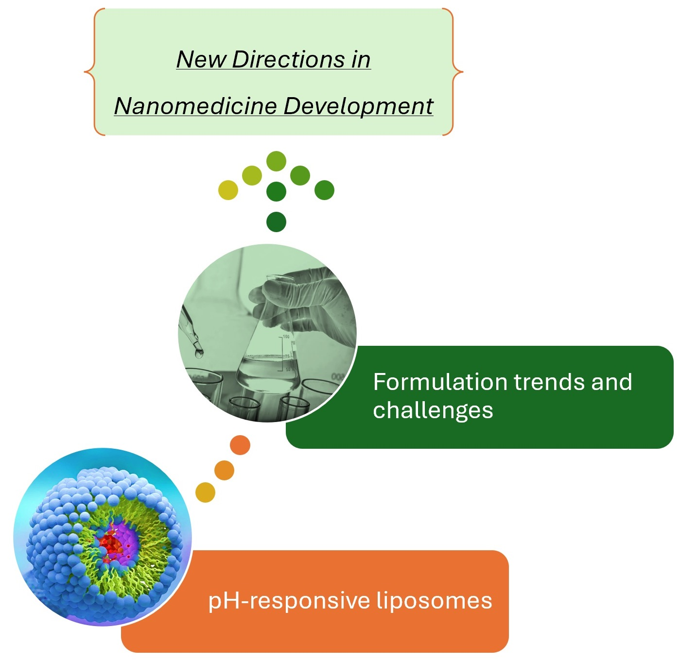 Recent Advances in pH-Responsive Liposomes: Lessons Learnt and New ...