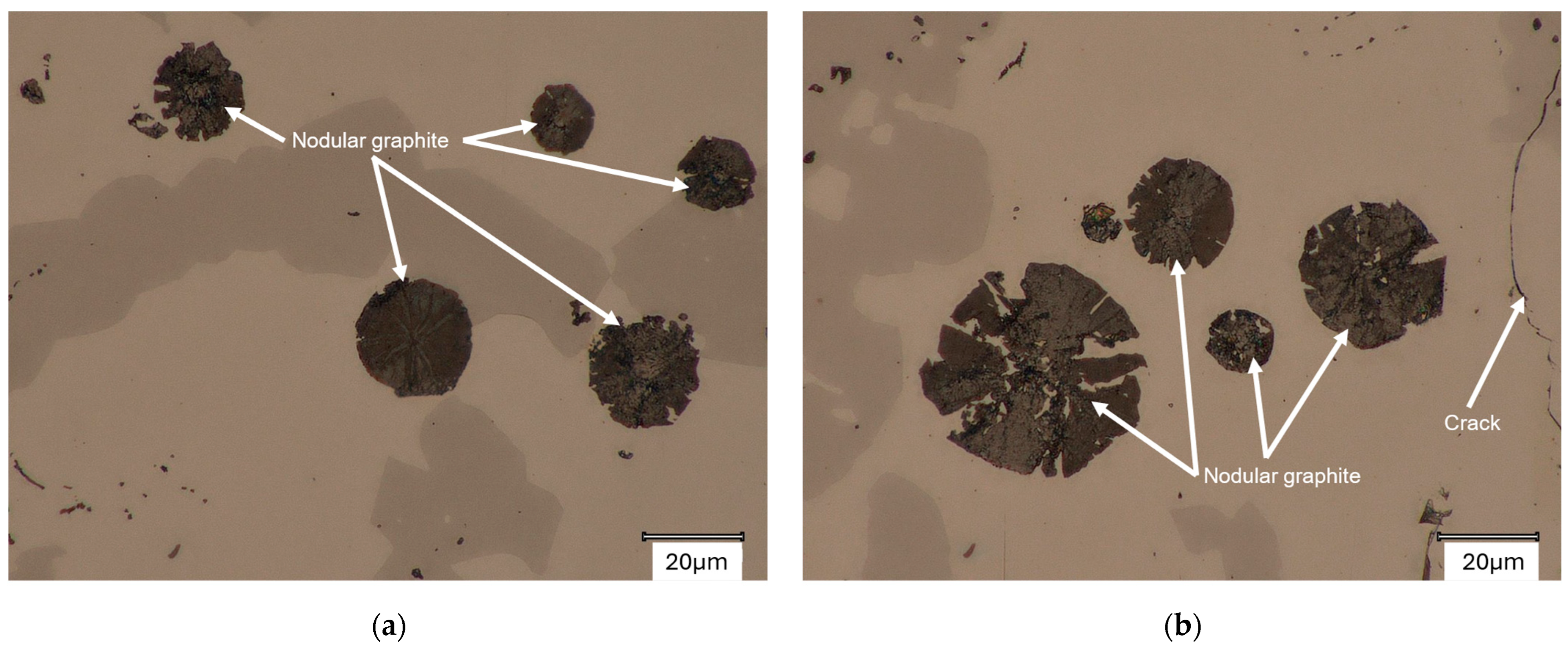 Natural Graphite Spheroidization Phenomena in Arc Furnace Metallurgical ...